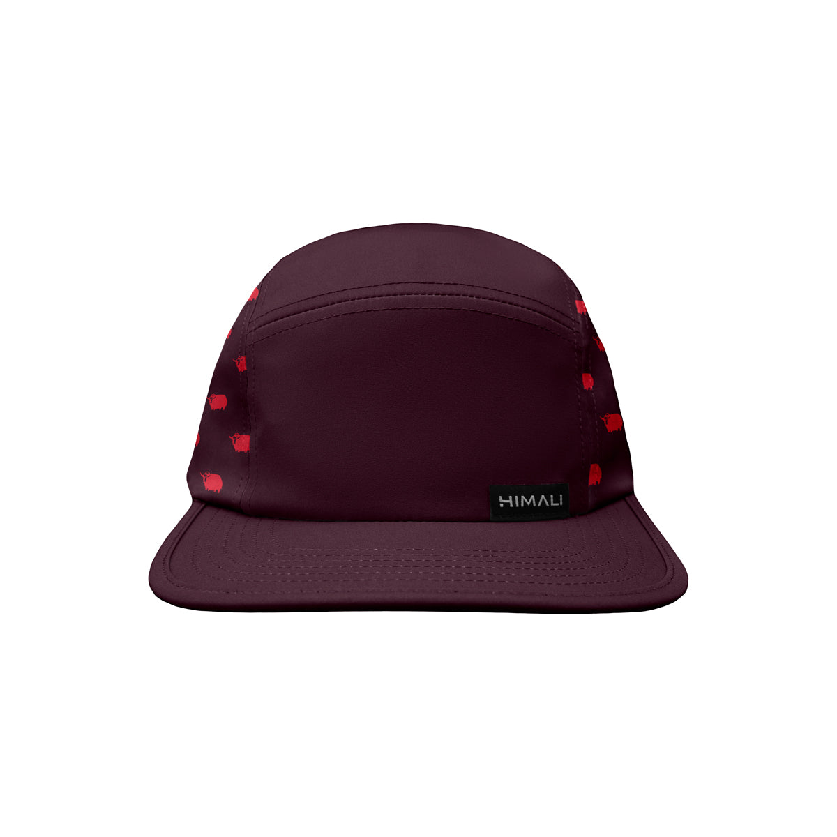 Accessories – ED VIESTURS